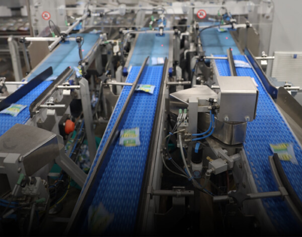 About Us - Bolke Miller